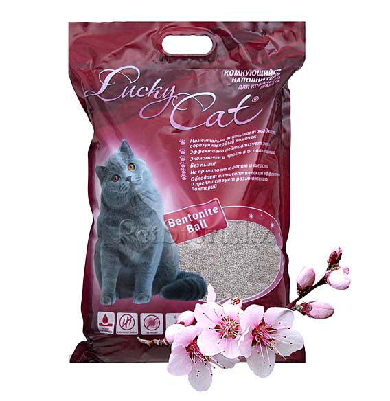Комкующийся наполнитель "Lucky cat" с сакурой, 4 350 тг. — Petstore.kz ...
